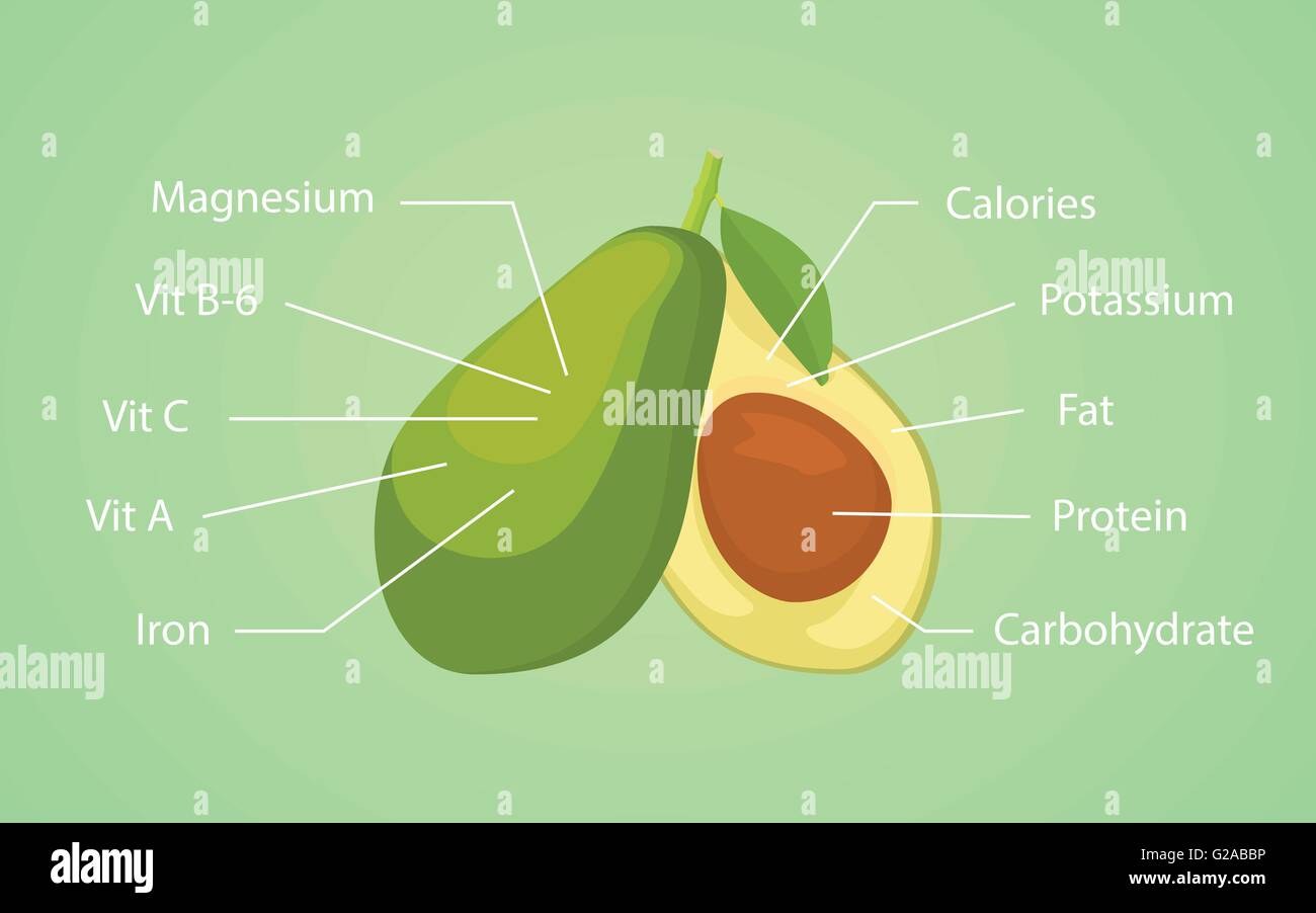 avocado nutrition nutrient vector graphic Stock Vector Image & Art - Alamy