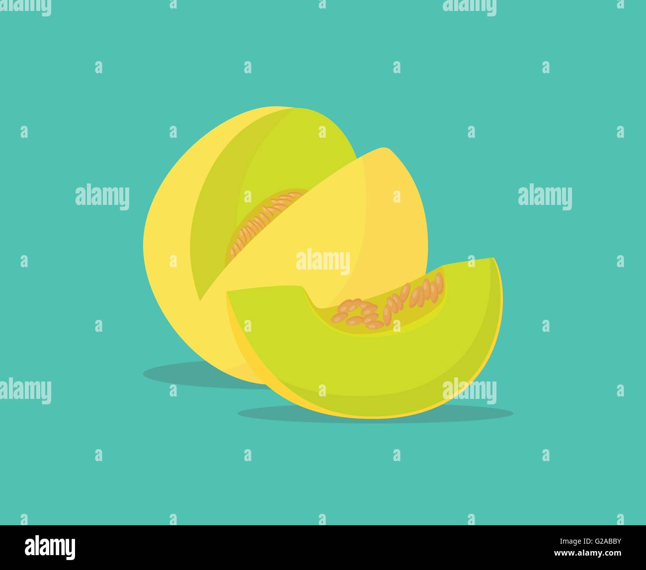 melon single isolated object with vector graphic Stock Vector Image ...