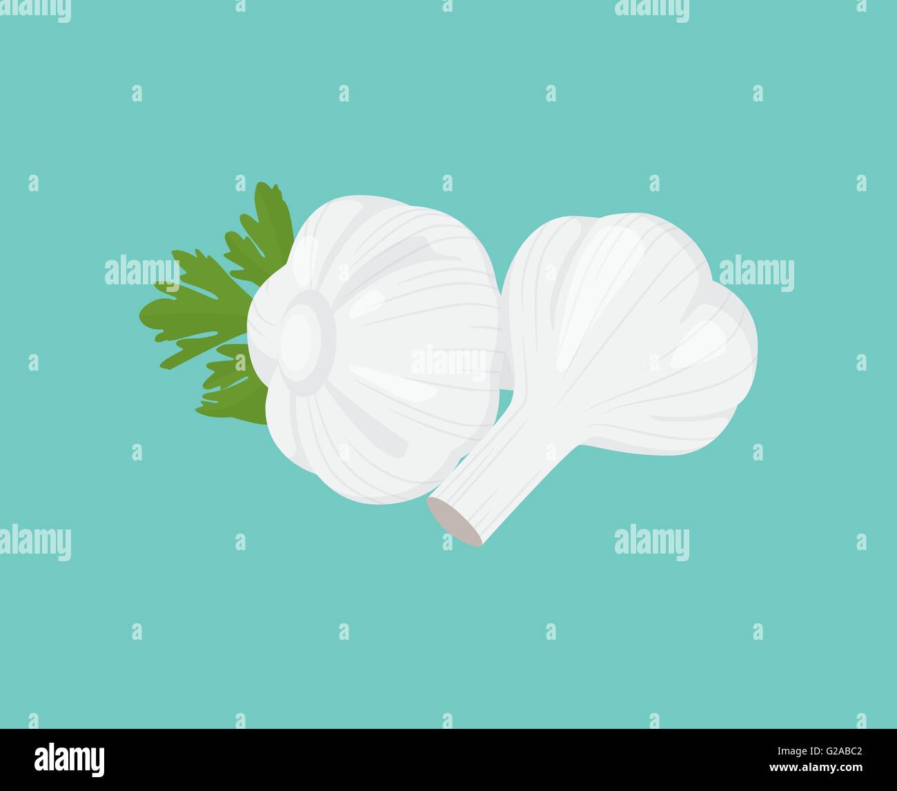 garlic single isolated object with vector graphic Stock Vector Image ...