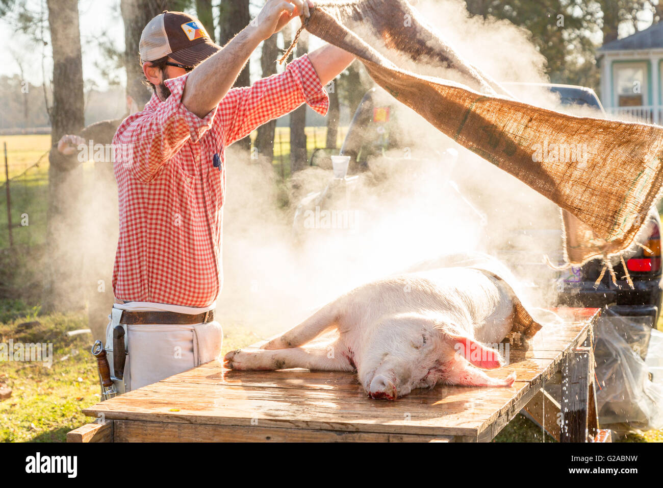 Steam whole hi-res stock photography and images - Alamy