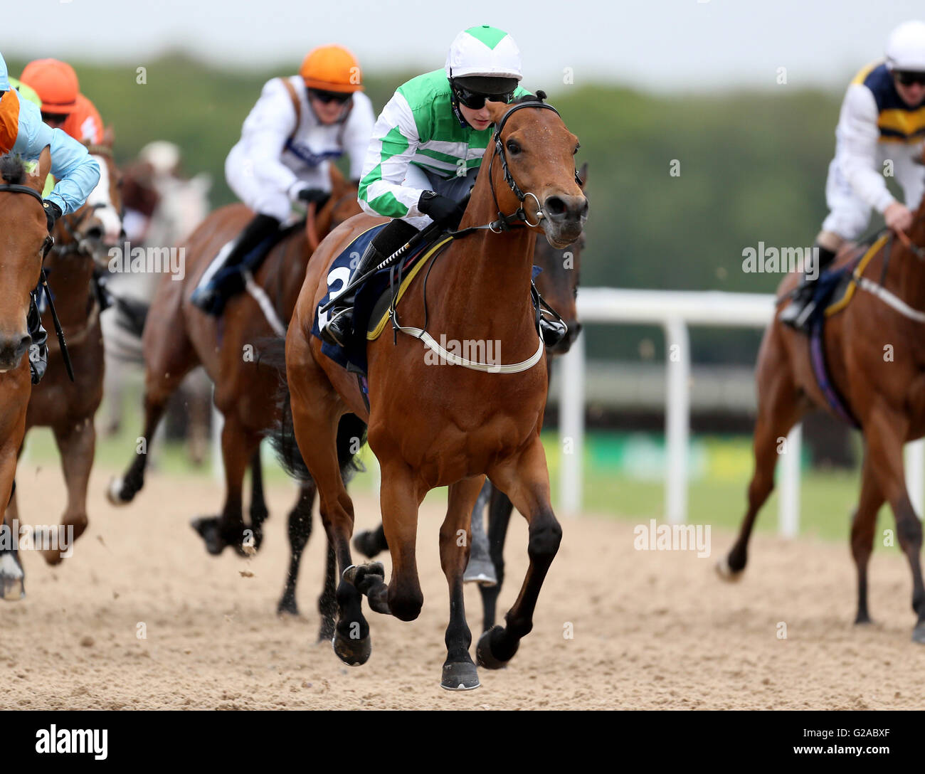 Firmament ridden by Shelley Birkett wins The Surgo Construction ...