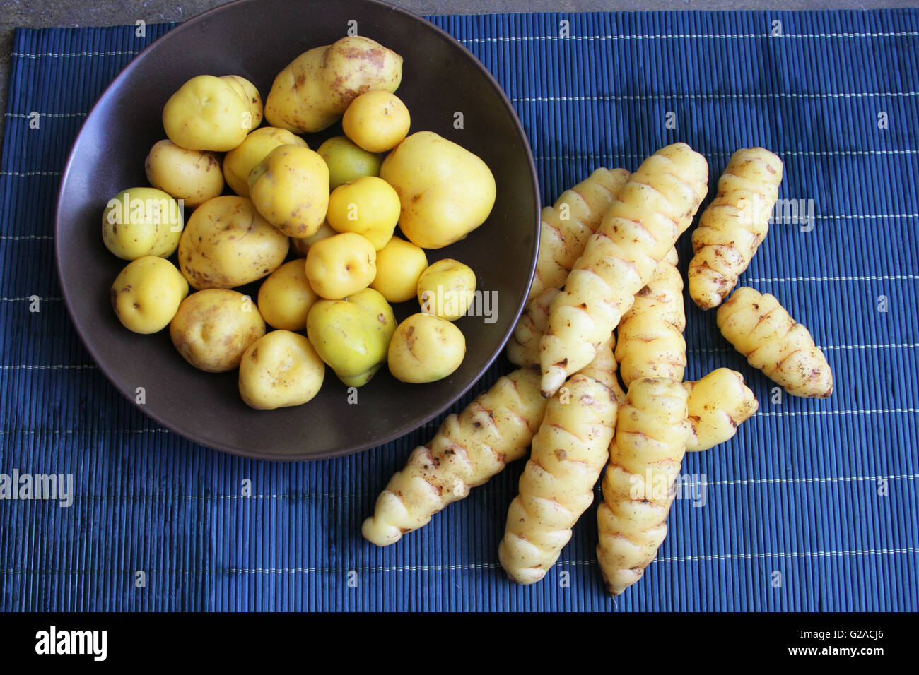 Papa lisa hi-res stock photography and images - Alamy