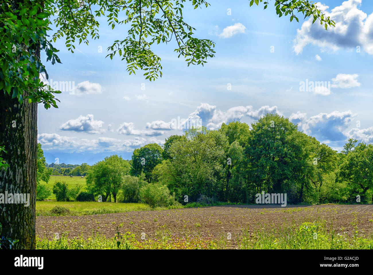 a french countryside with foliage Stock Photo - Alamy