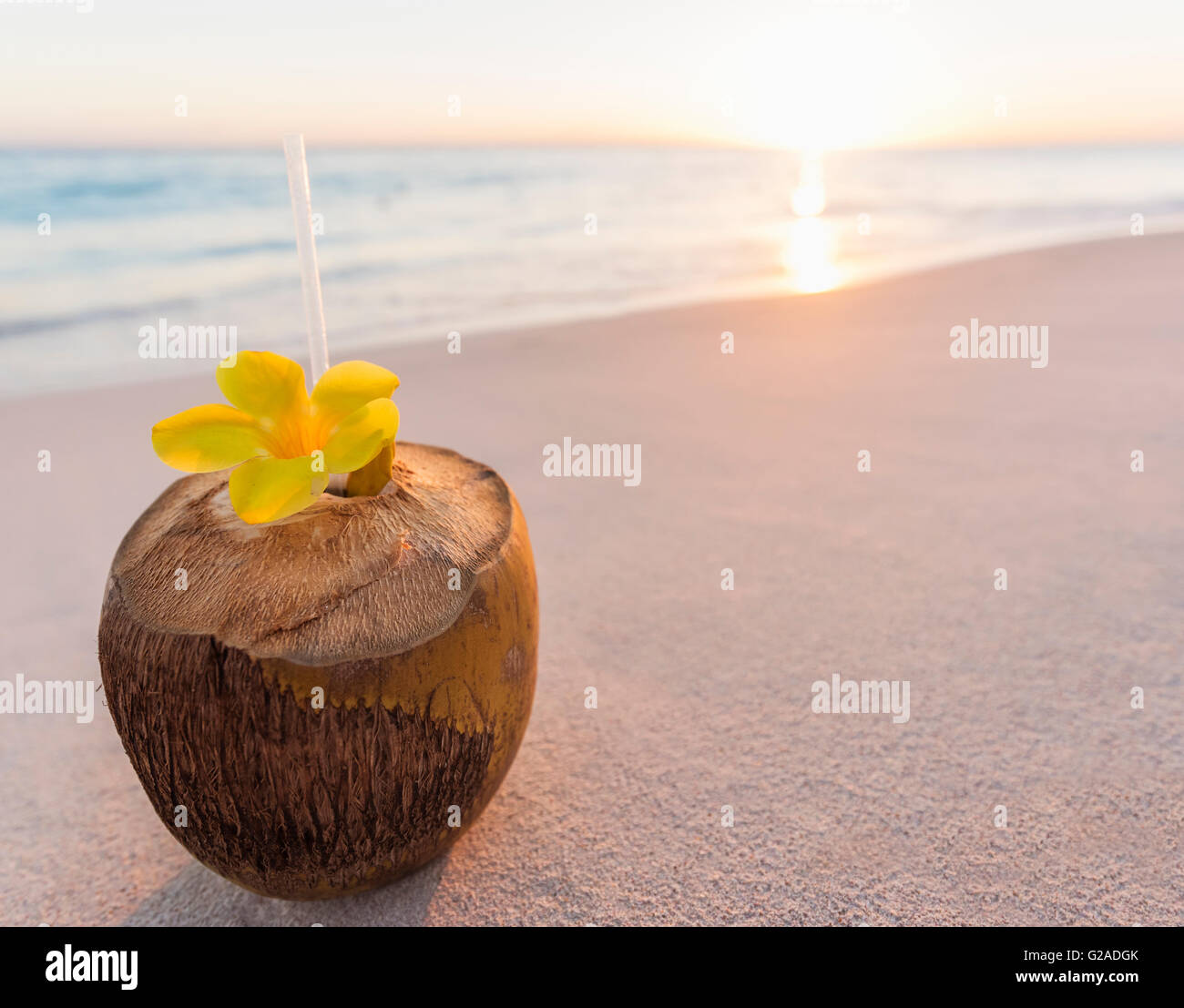 Tropical cocktail in coconut shell on sandy beach Stock Photo - Alamy