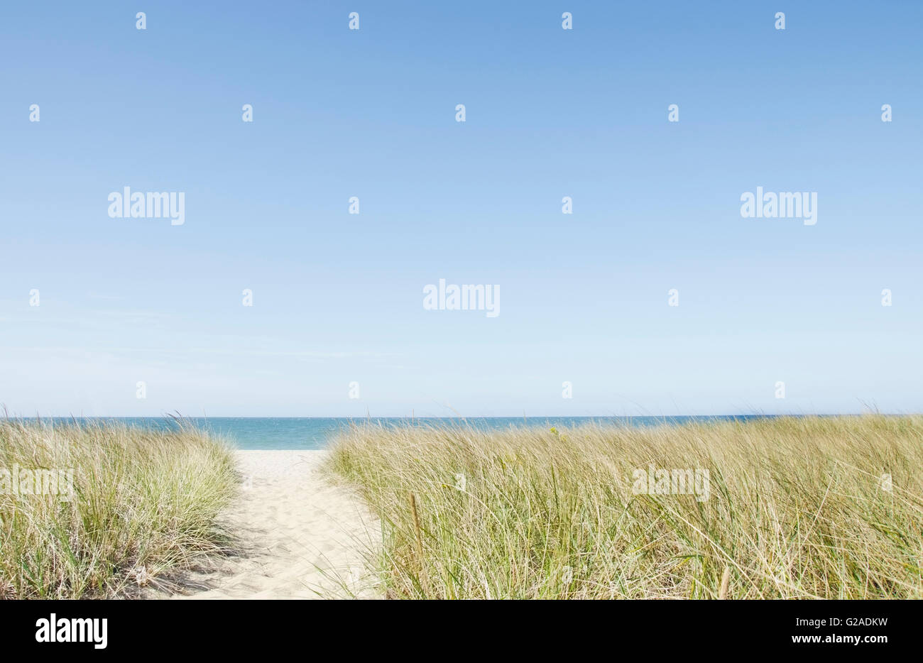 Footpath leading to sandy beach Stock Photo - Alamy