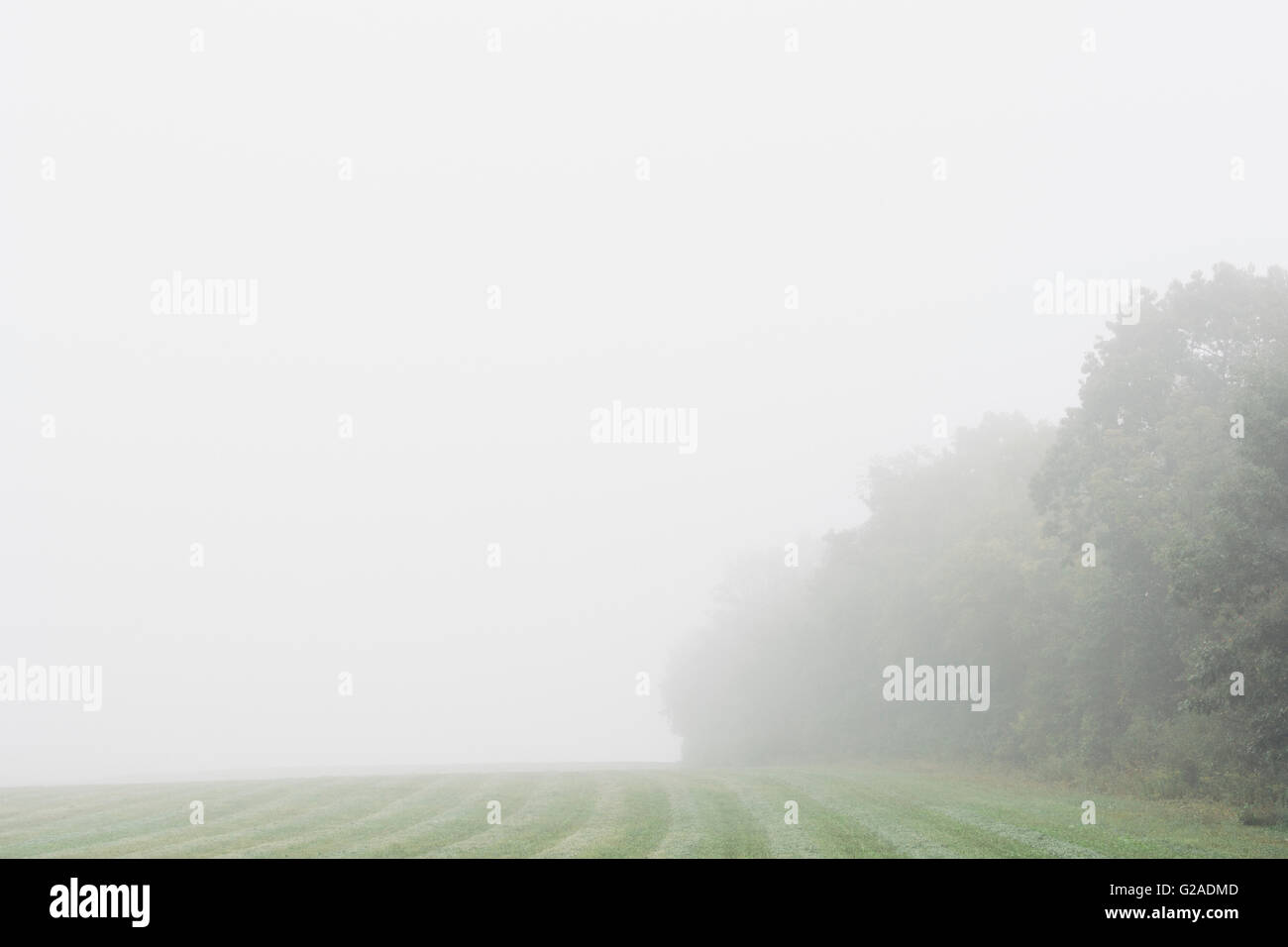 Rural landscape with fog hi-res stock photography and images - Alamy