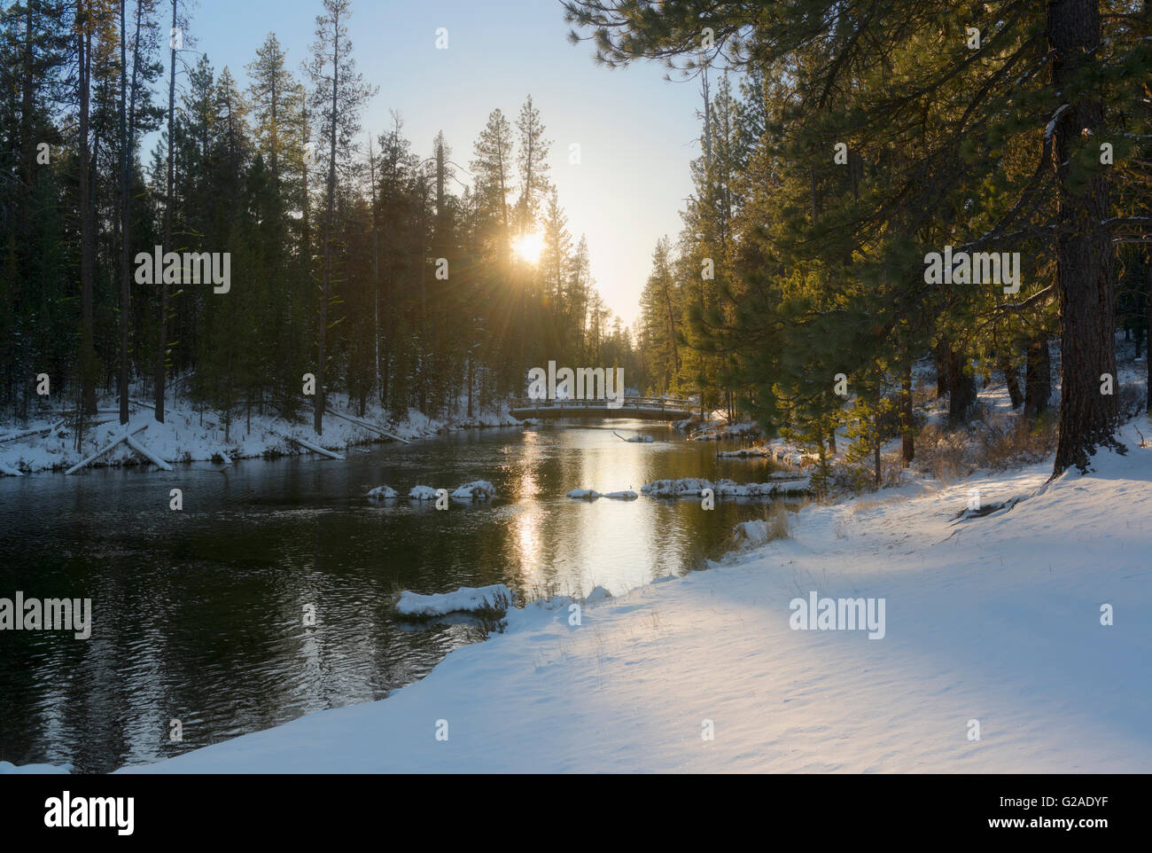 Winter forest river hi-res stock photography and images - Alamy