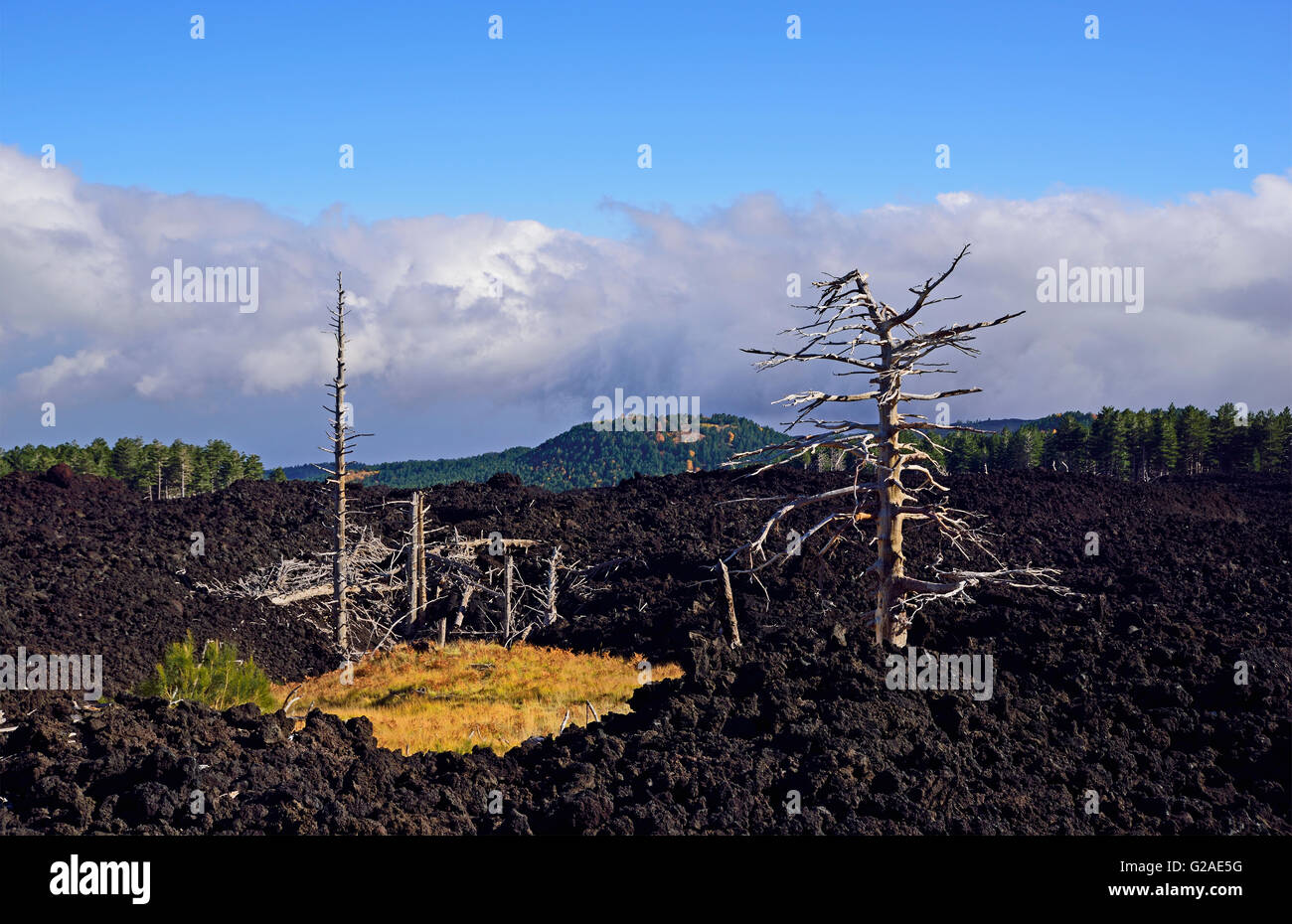 Mount Etna's dried lava flow Stock Photo - Alamy
