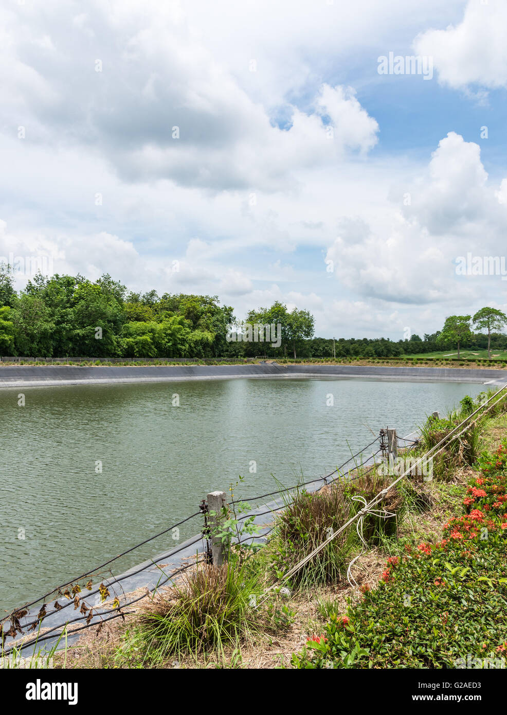 Small reservoir with black plastic sheet for use in the farmland Stock ...