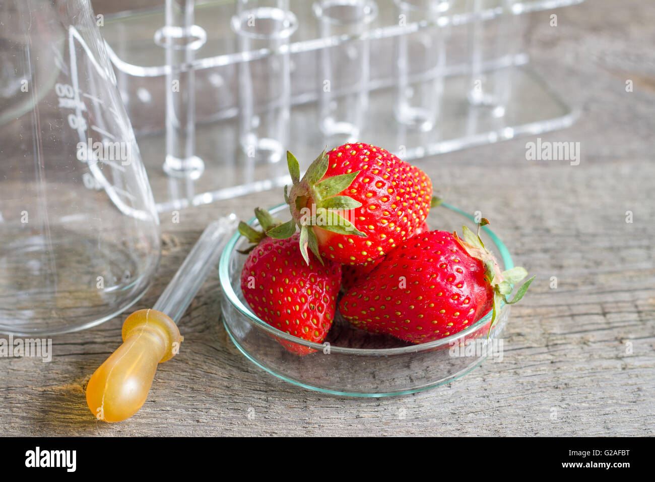 Allergy study hi-res stock photography and images - Alamy