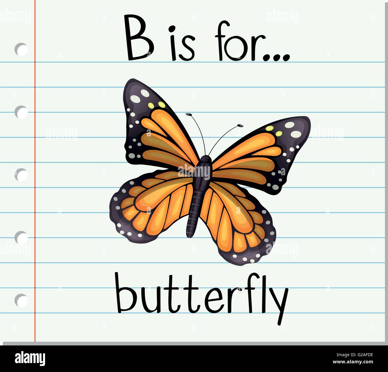 Flashcard letter B is for butterfly illustration Stock Vector Image ...