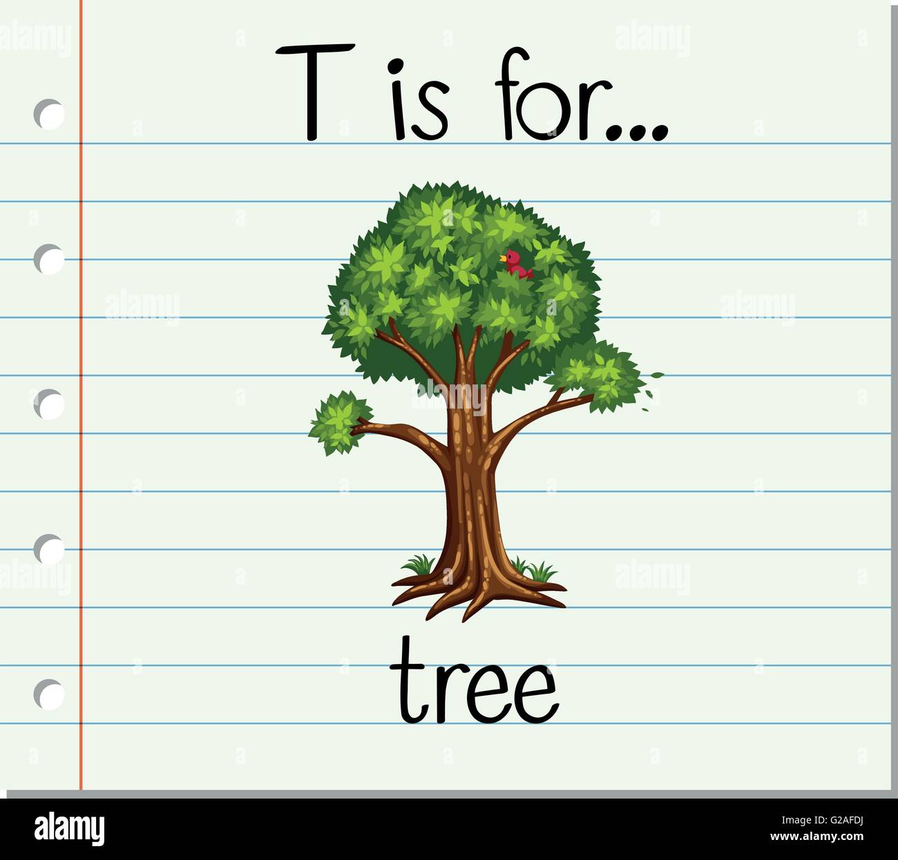 Flashcard letter T is for tree illustration Stock Vector Image & Art ...