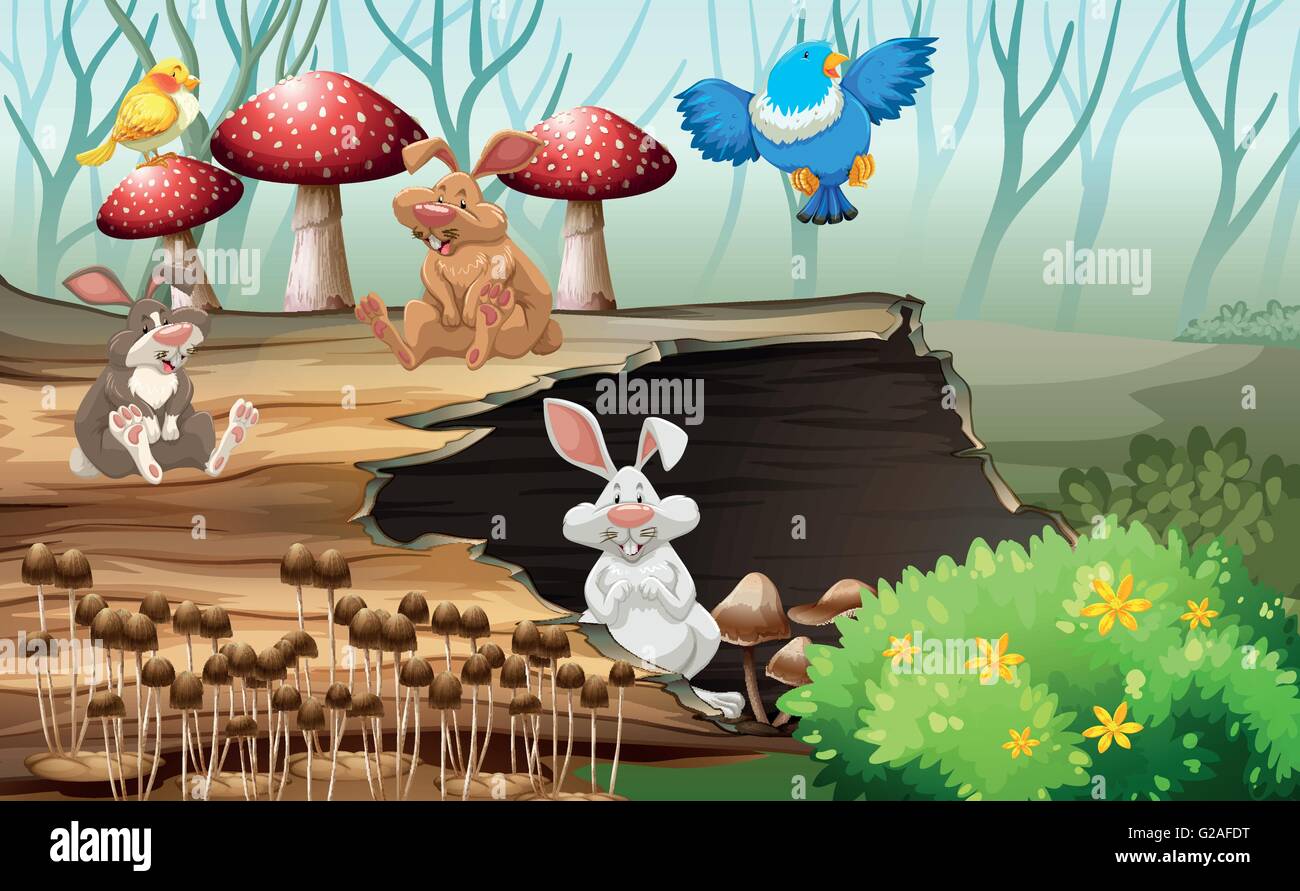 Three Rabbits High Resolution Stock Photography and Images - Alamy