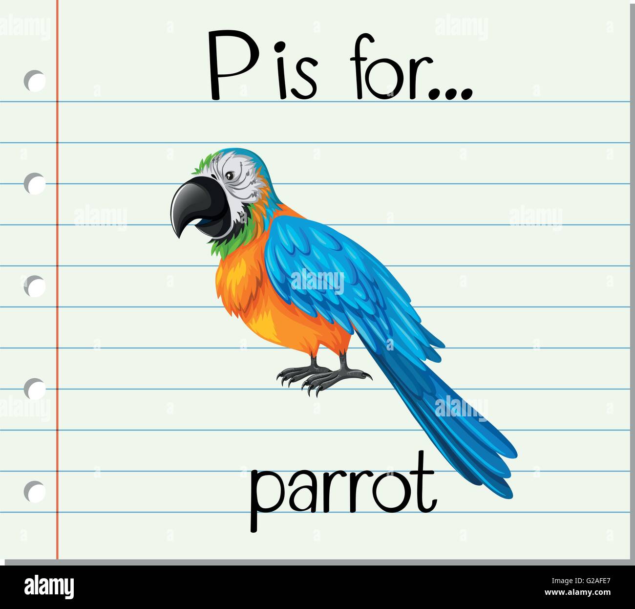 Flashcard letter P is for parrot illustration Stock Vector Image & Art ...