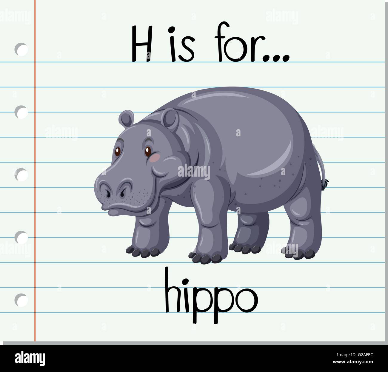 Flashcard letter H is for hippo illustration Stock Vector Image & Art ...