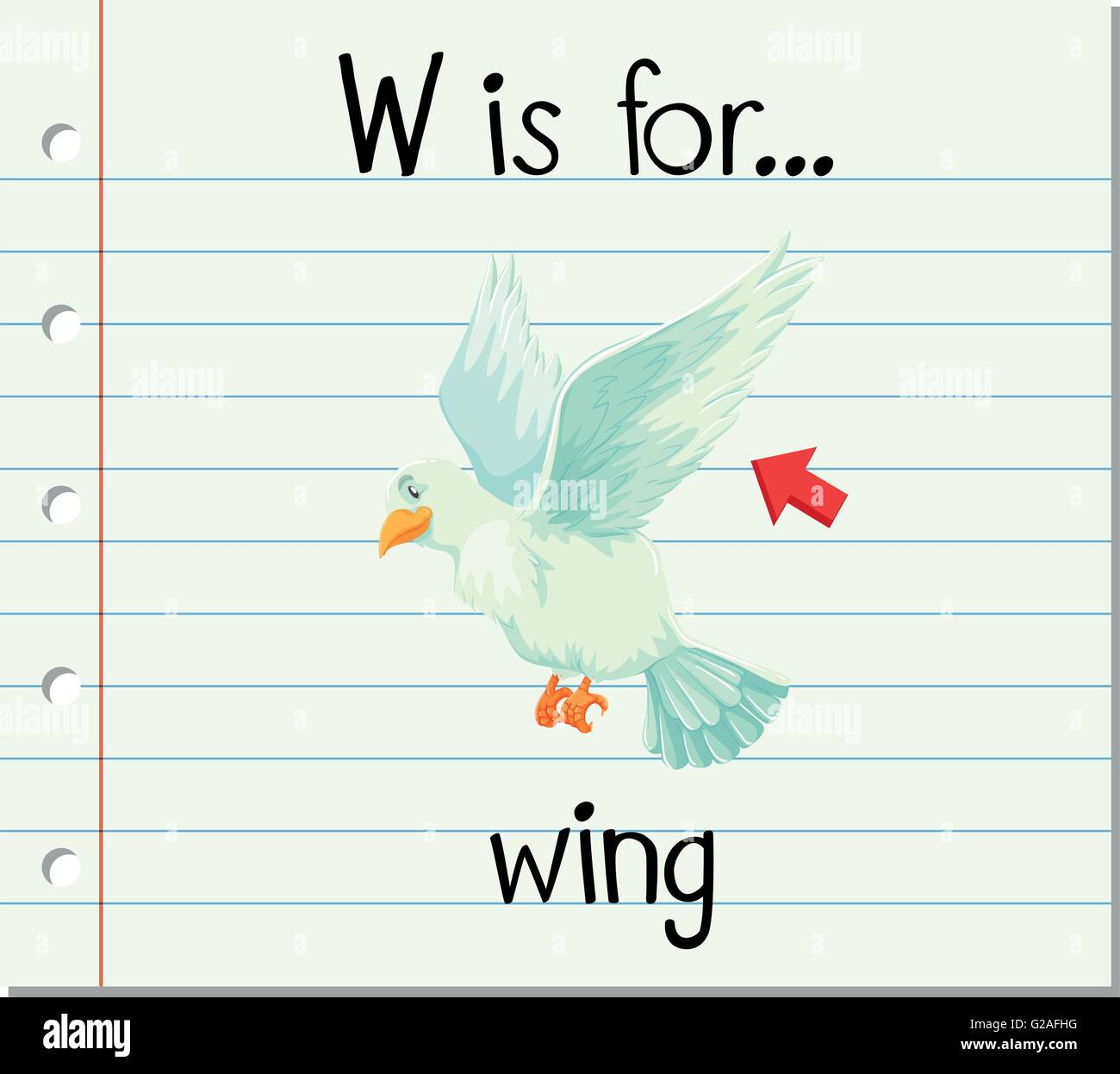 Flashcard letter W is for wing illustration Stock Vector Image & Art ...