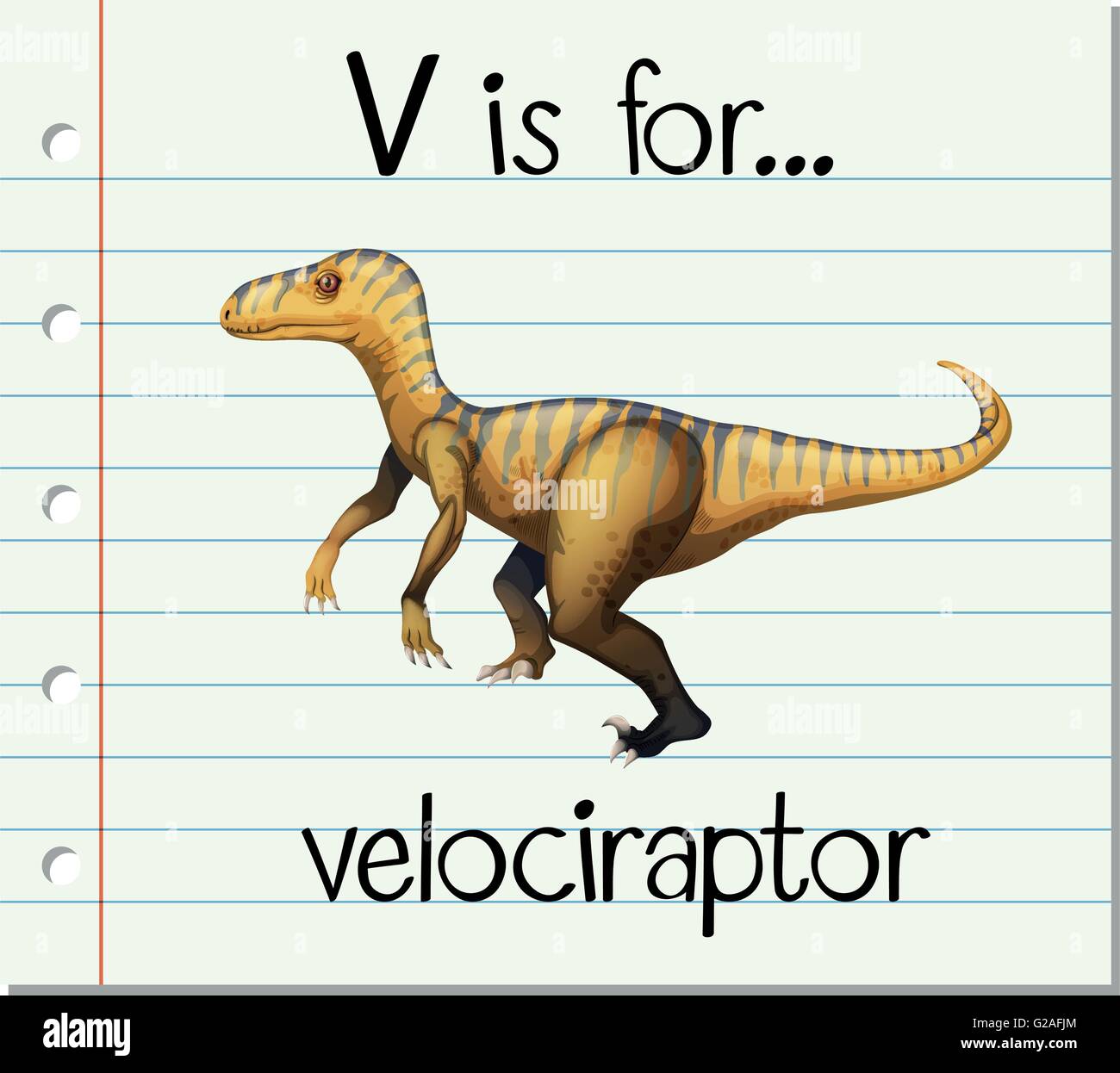 Flashcard letter V is for velociraptor illustration Stock Vector Image ...