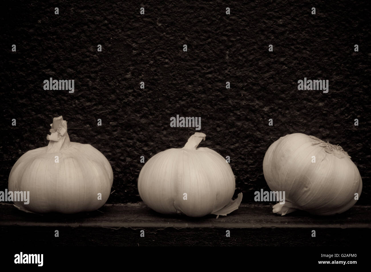 Garlic in front of rough textured black background metal background ...