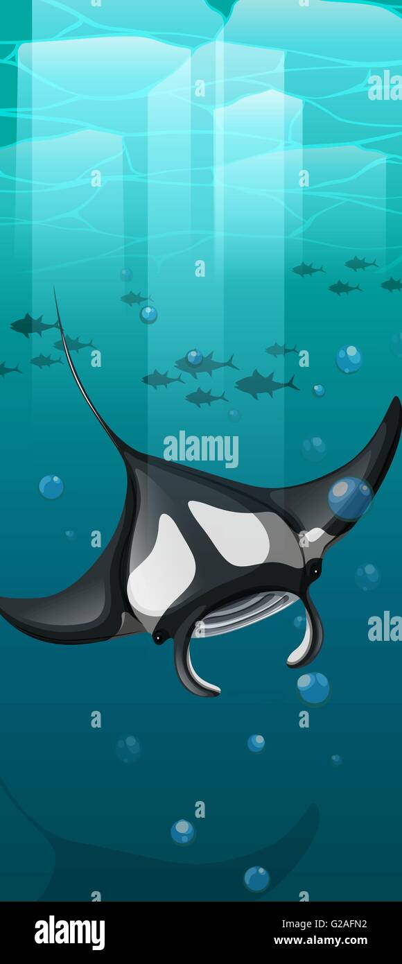 Manta ray swimming under the ocean illustration Stock Vector Image ...