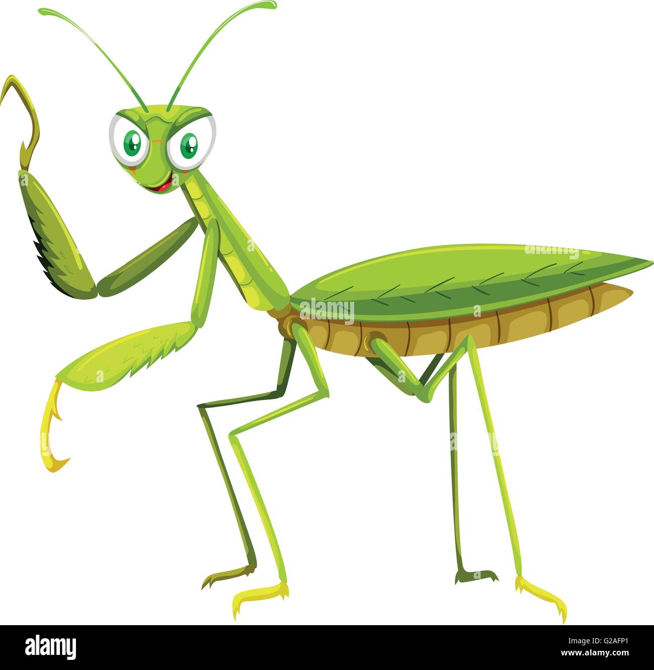 Grasshopper on stick Cut Out Stock Images & Pictures - Alamy