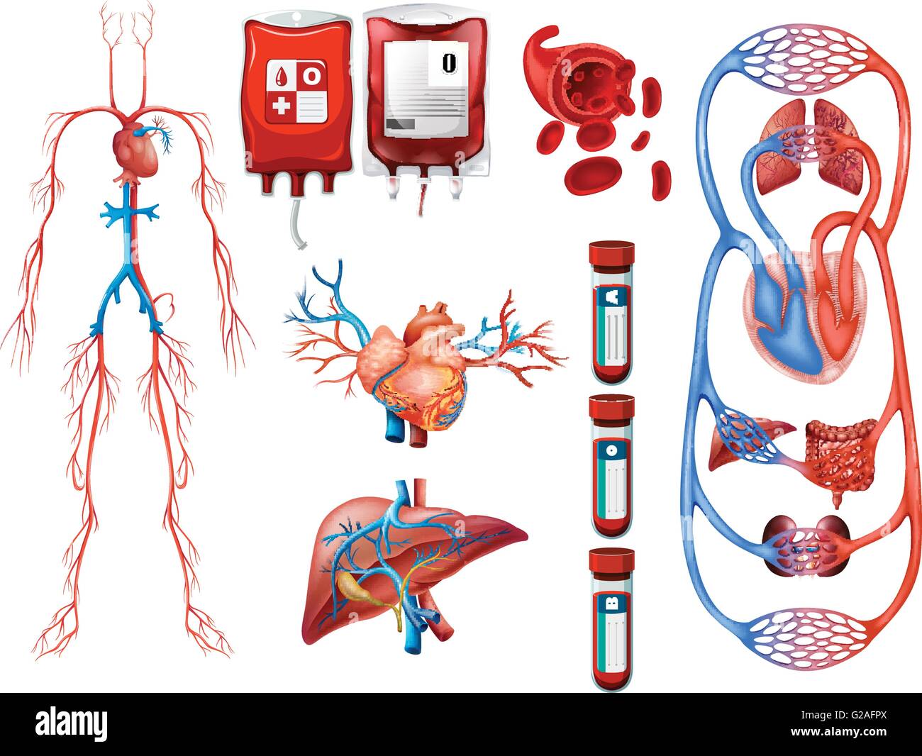 Blood collection system hi-res stock photography and images - Alamy