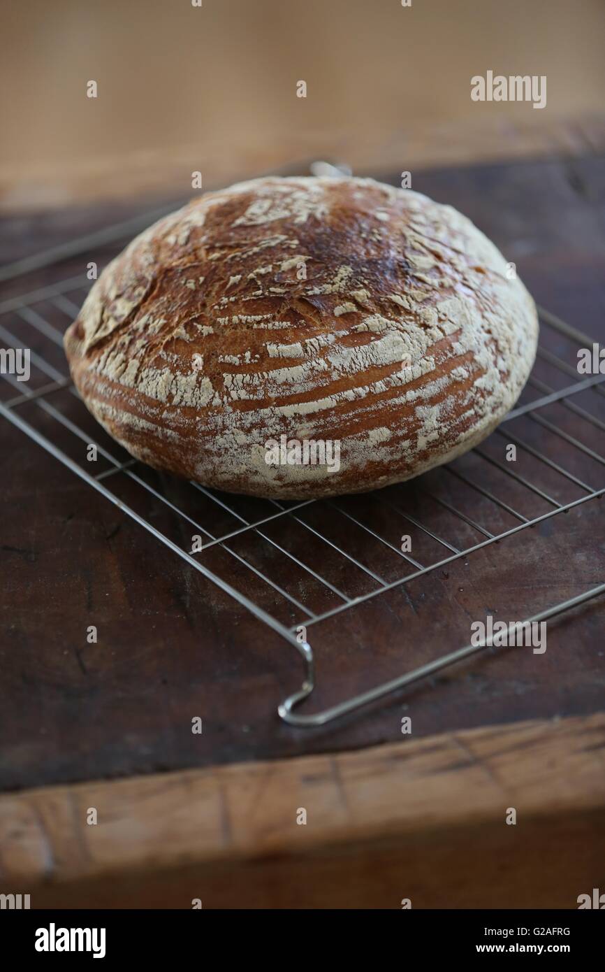 A small round white artisan loaf of bread Stock Photo - Alamy