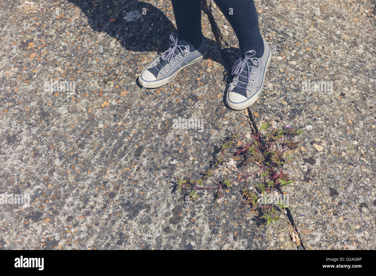 The feet of a woman stading by some weed growing in the street Stock ...