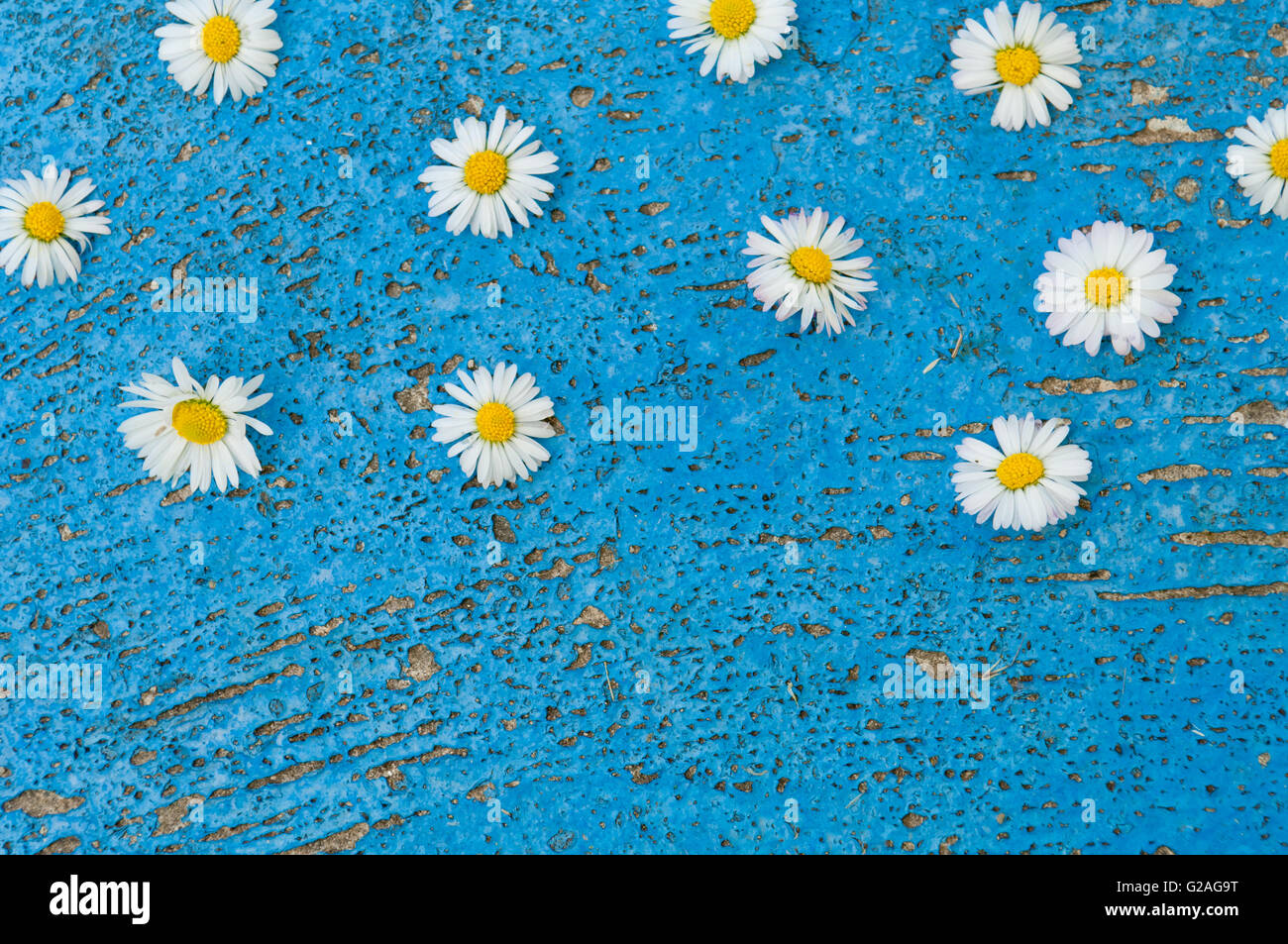 Vintage Daisy Backgrounds