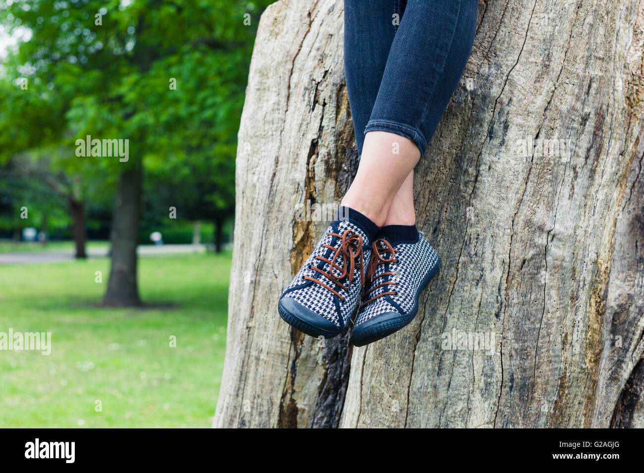 The legs of a trendy young woman as she is sitting on a tree trunk in ...