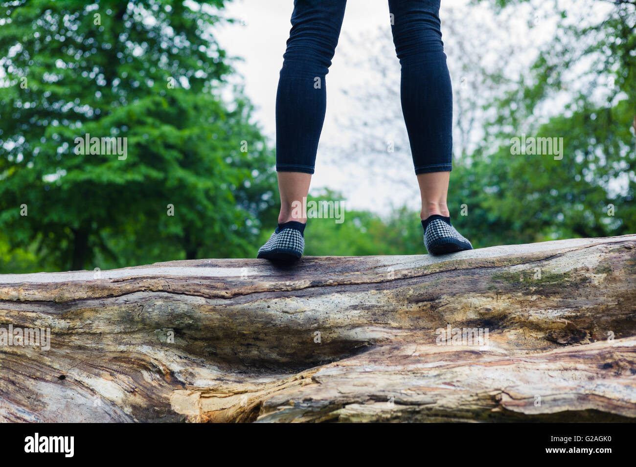 Tree trunk legs hi-res stock photography and images - Alamy