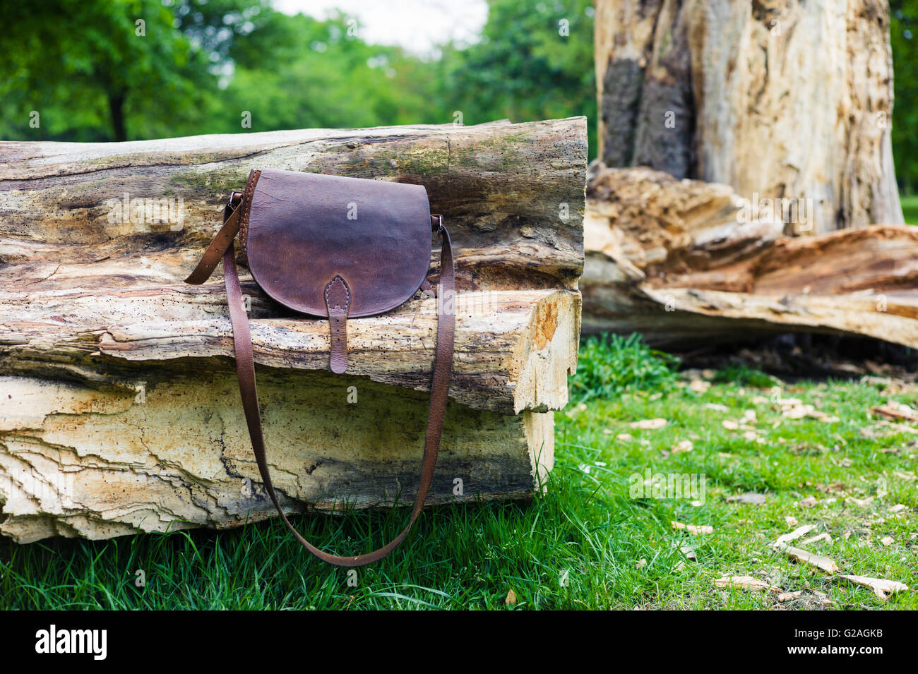 A woman's leather handbag on a tree trunk in the park Stock Photo - Alamy