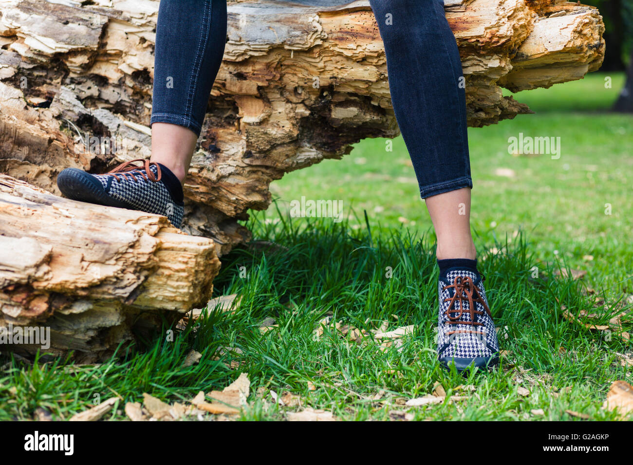 The legs of a trendy young woman as she is sitting on a tree trunk in ...