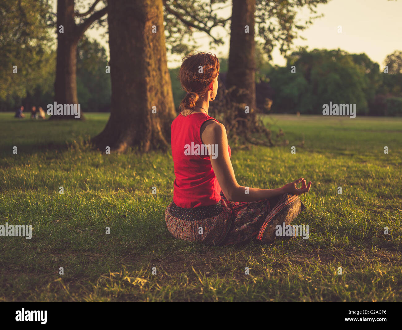 People Meditating In Nature