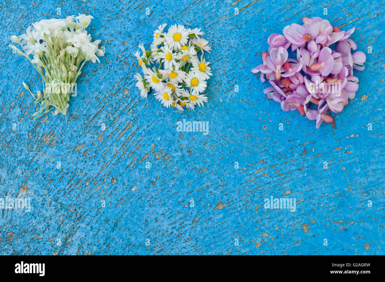 Small bunches of different flowers on an old textured light blue ...
