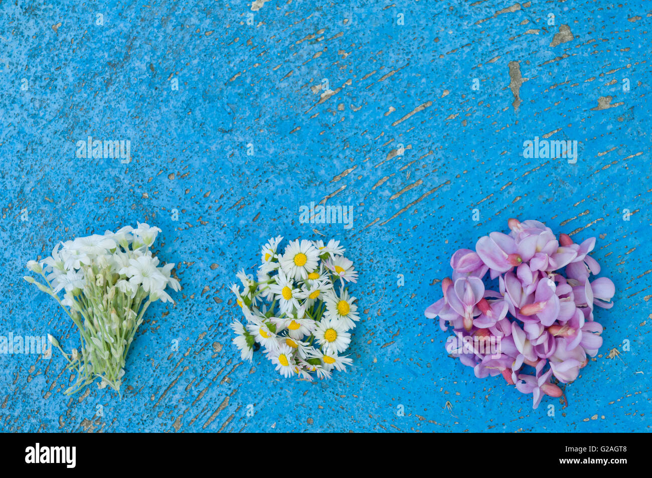 Small bunches of different flowers on an old textured light blue ...