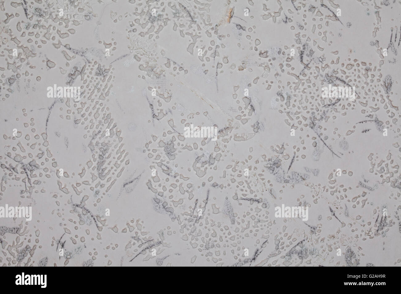 Ecru paper texture hi-res stock photography and images - Alamy