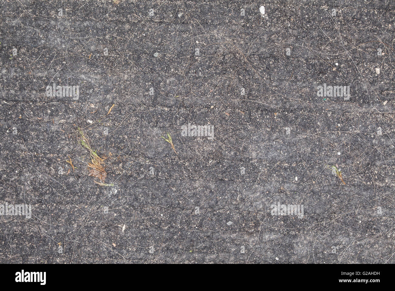 very dirty old carpet Stock Photo - Alamy
