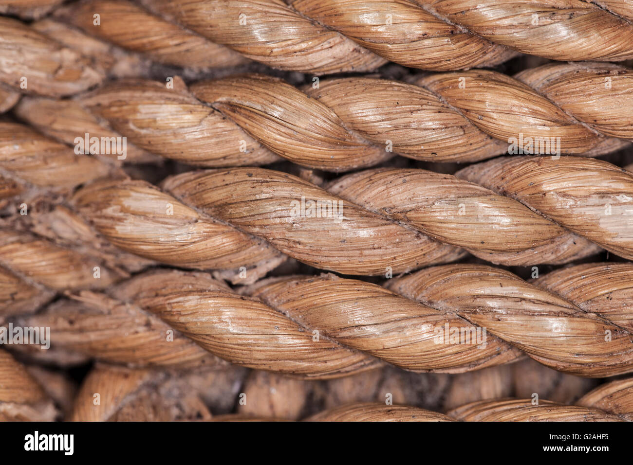bamboo rope macro Stock Photo - Alamy
