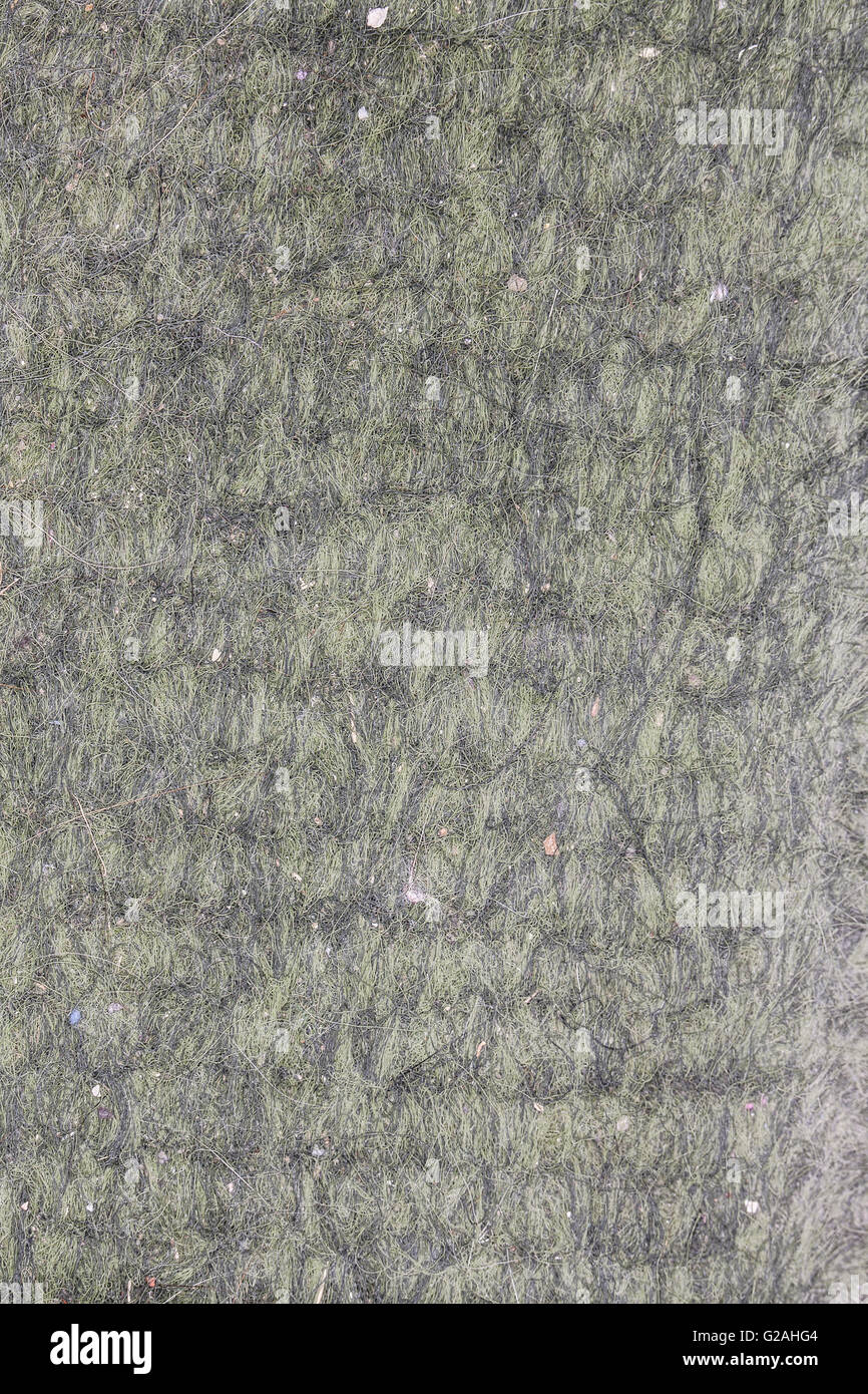 Grass carpeted hi-res stock photography and images - Alamy