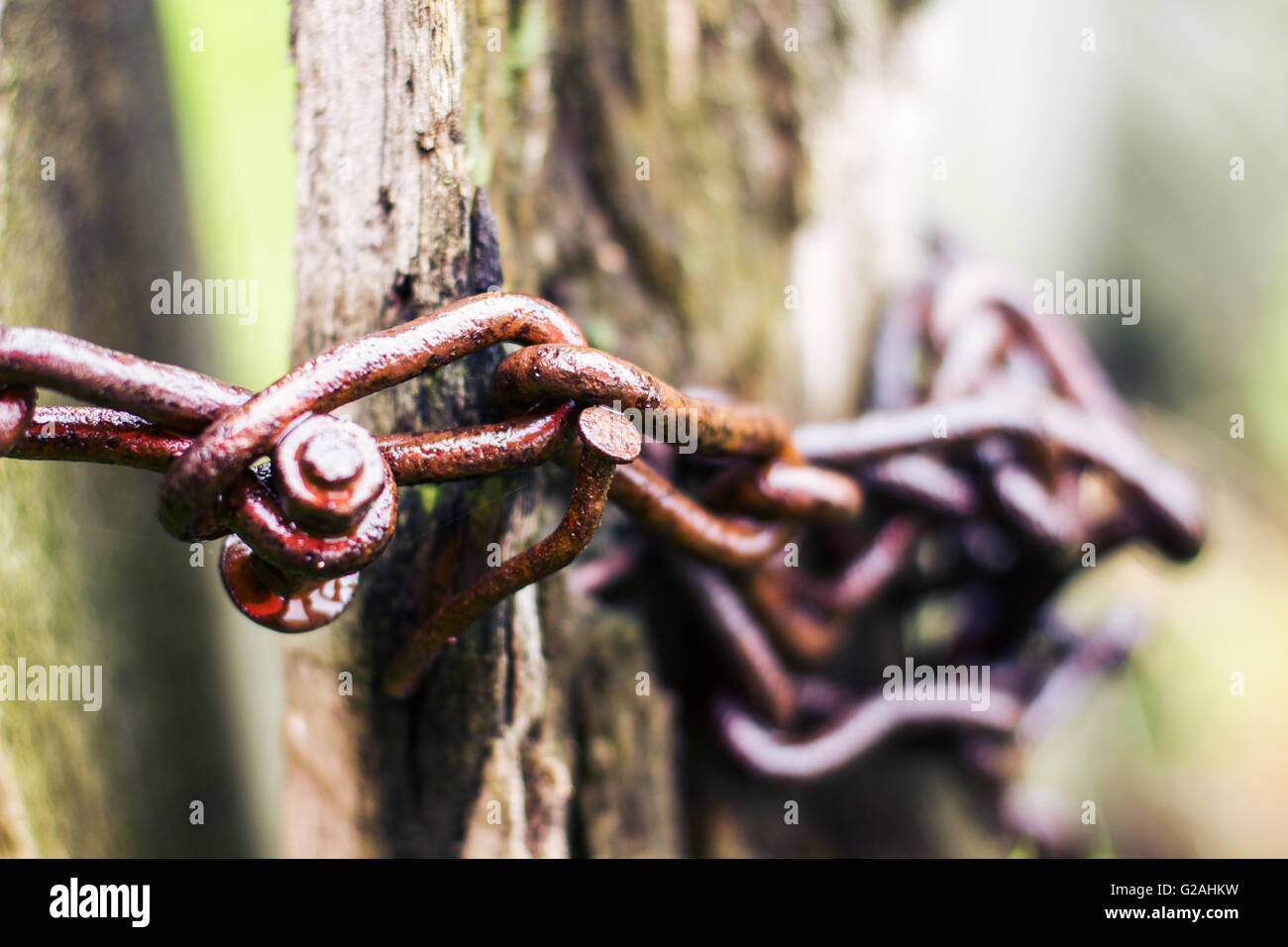 Rusty Chains, corroded metal chain at daylight Stock Photo - Alamy