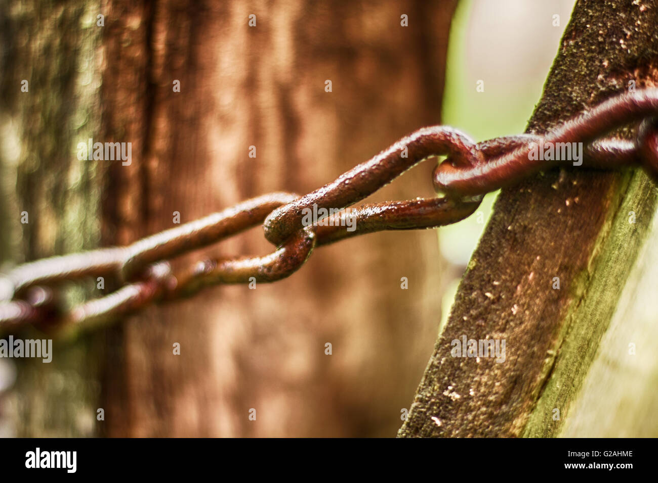 Rusty Chains, corroded metal chain at daylight Stock Photo - Alamy
