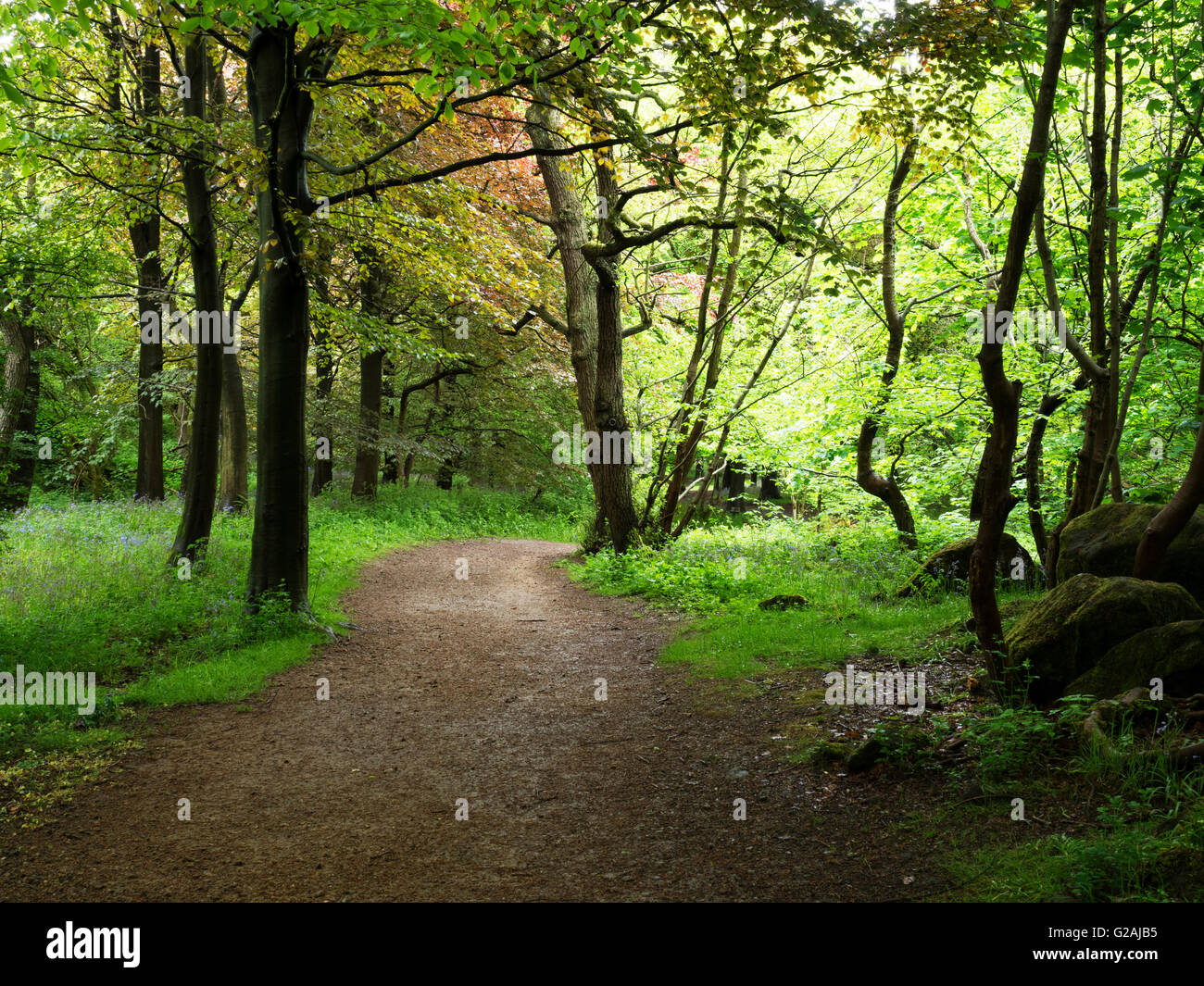 Uk spring path footpath track hi-res stock photography and images - Alamy