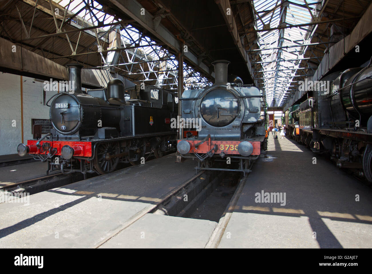Two former Great Western Railway steam tank engines in the loco shed at ...