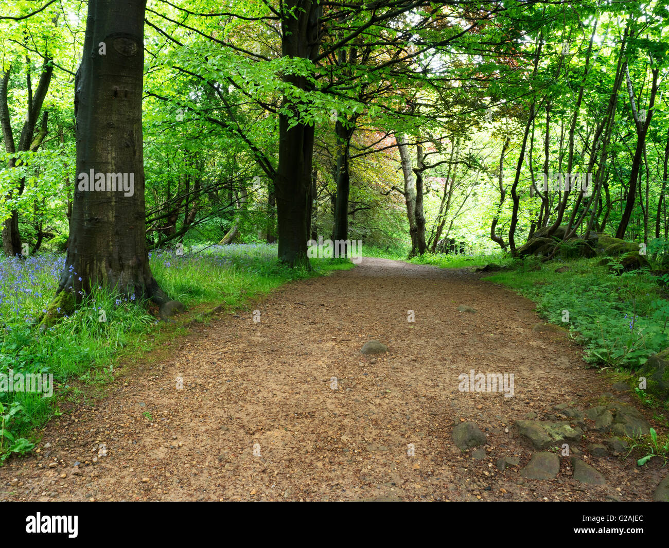 Uk spring path footpath track hi-res stock photography and images - Alamy