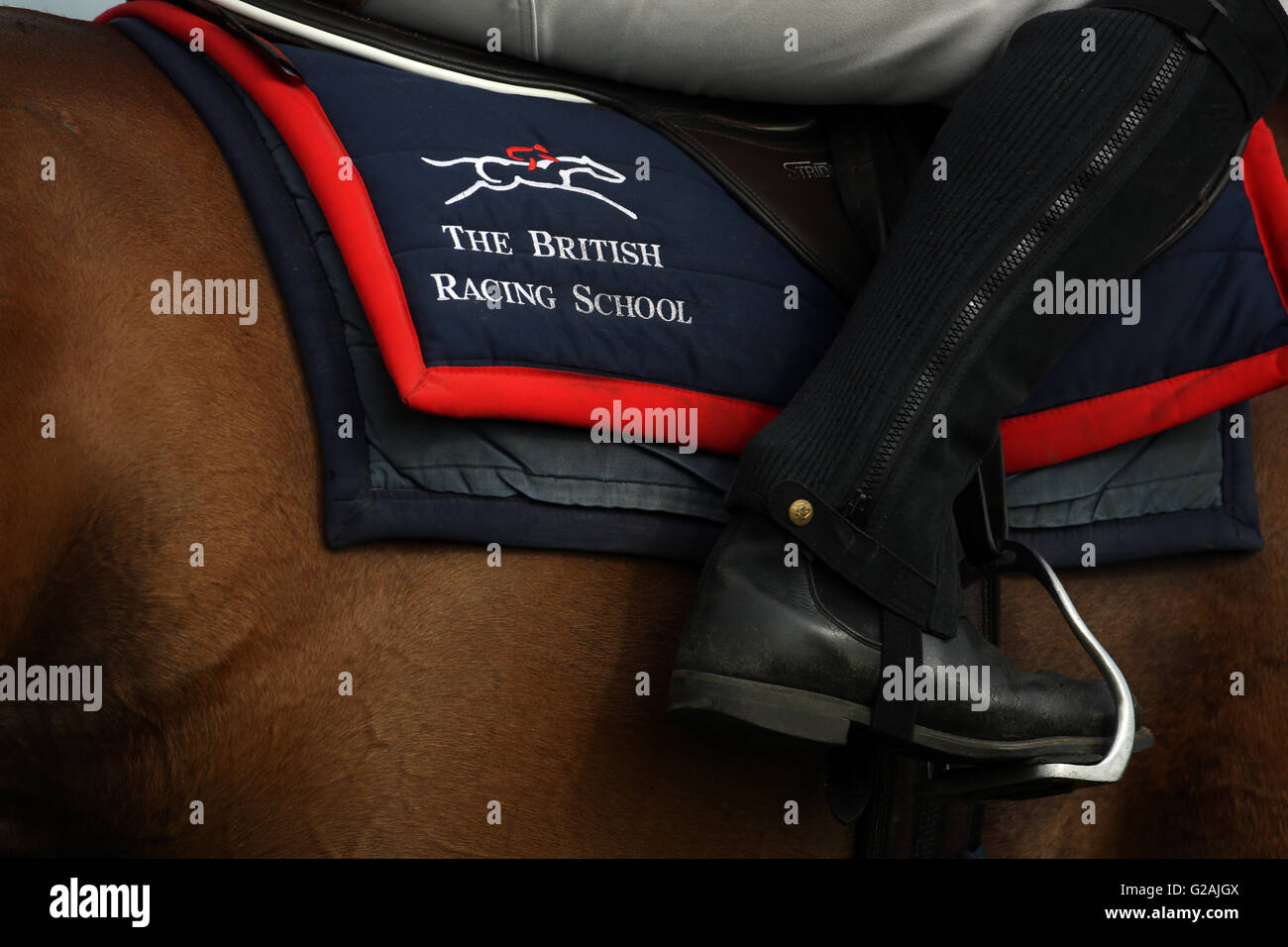 The british racing school newmarket hi-res stock photography and images ...