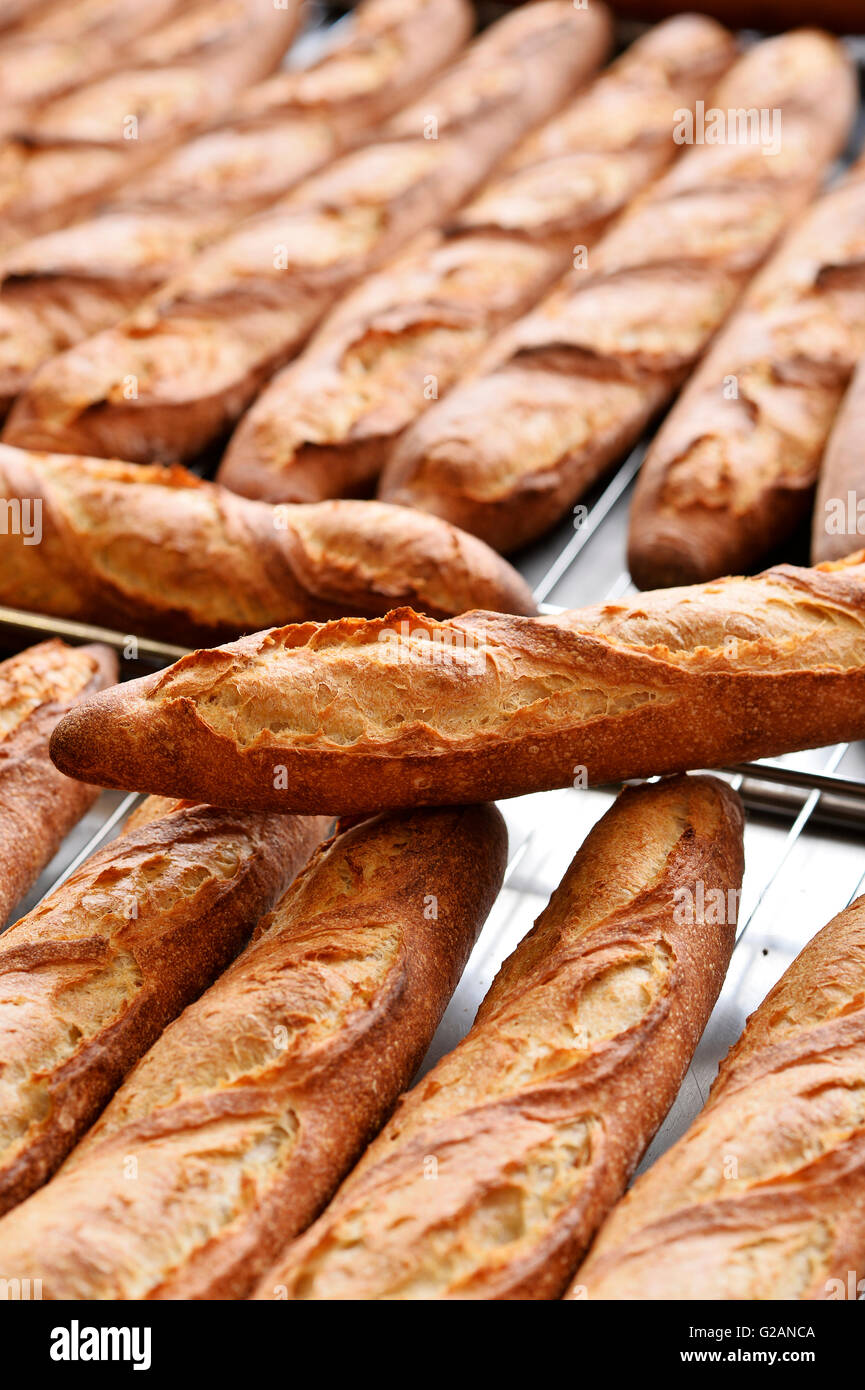 French basque people man male hi-res stock photography and images - Alamy