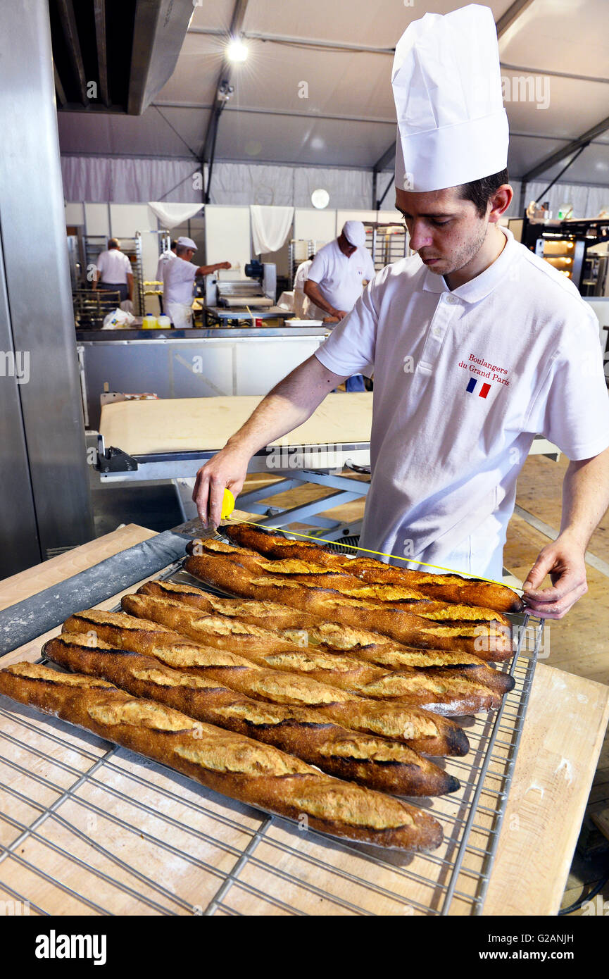 French basque people man male hi-res stock photography and images - Alamy