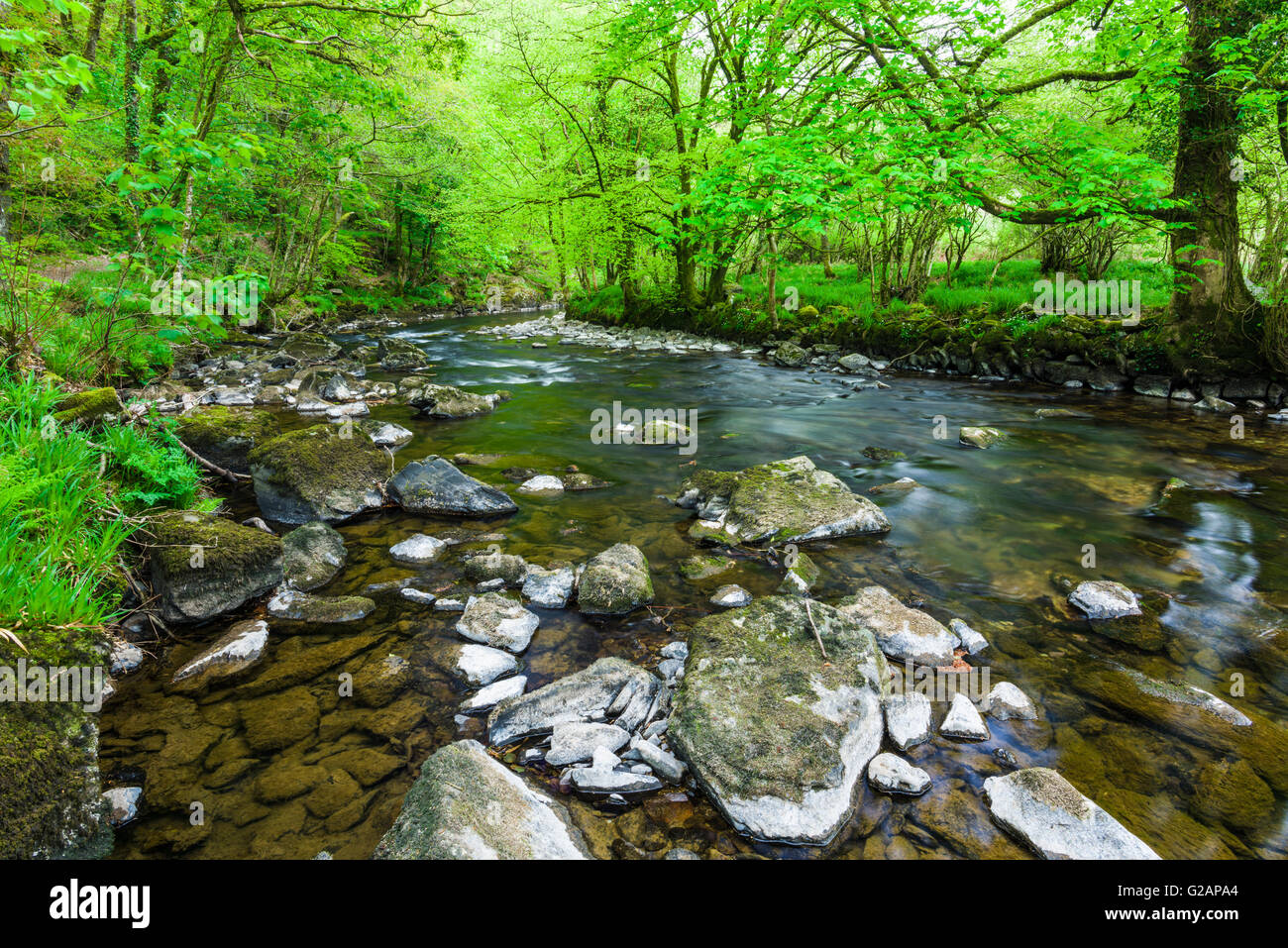 Knaplock hi-res stock photography and images - Alamy