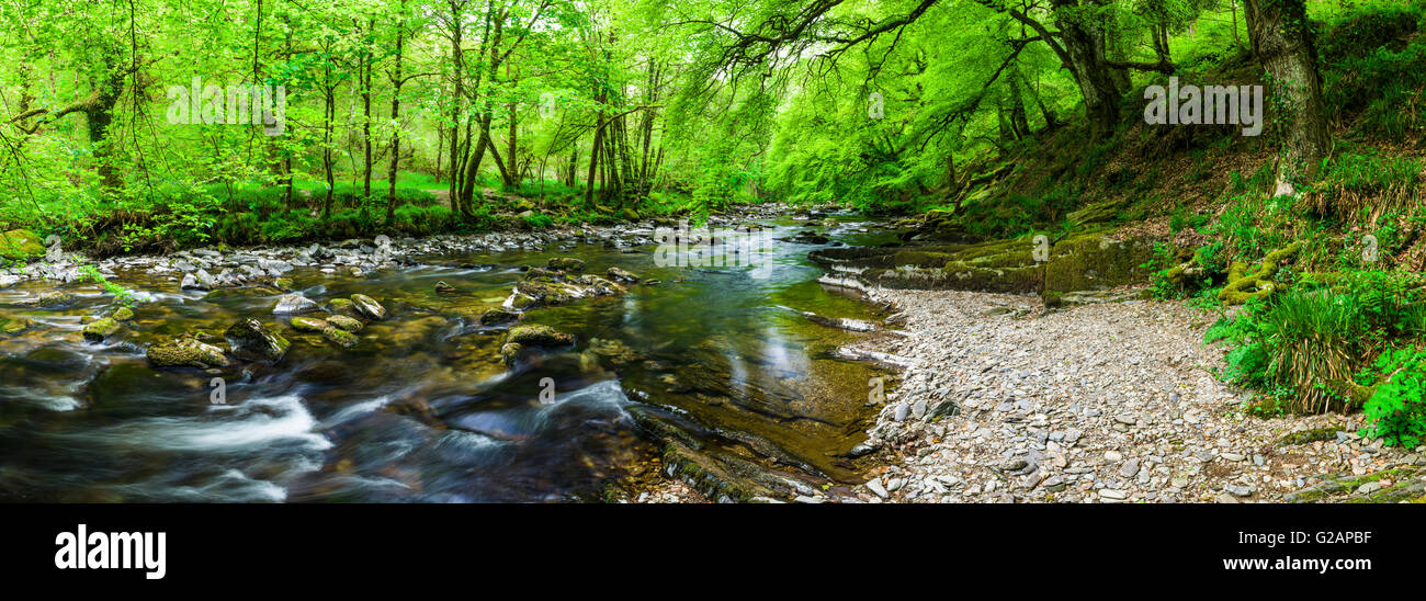 The River Barle in Knaplock Wood near Tarr Steps in Exmoor National ...