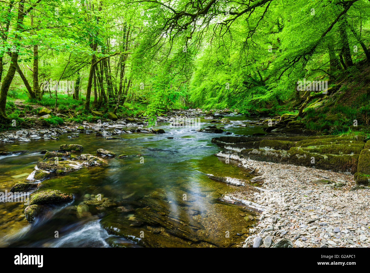 The River Barle in Knaplock Wood near Tarr Steps in Exmoor National ...